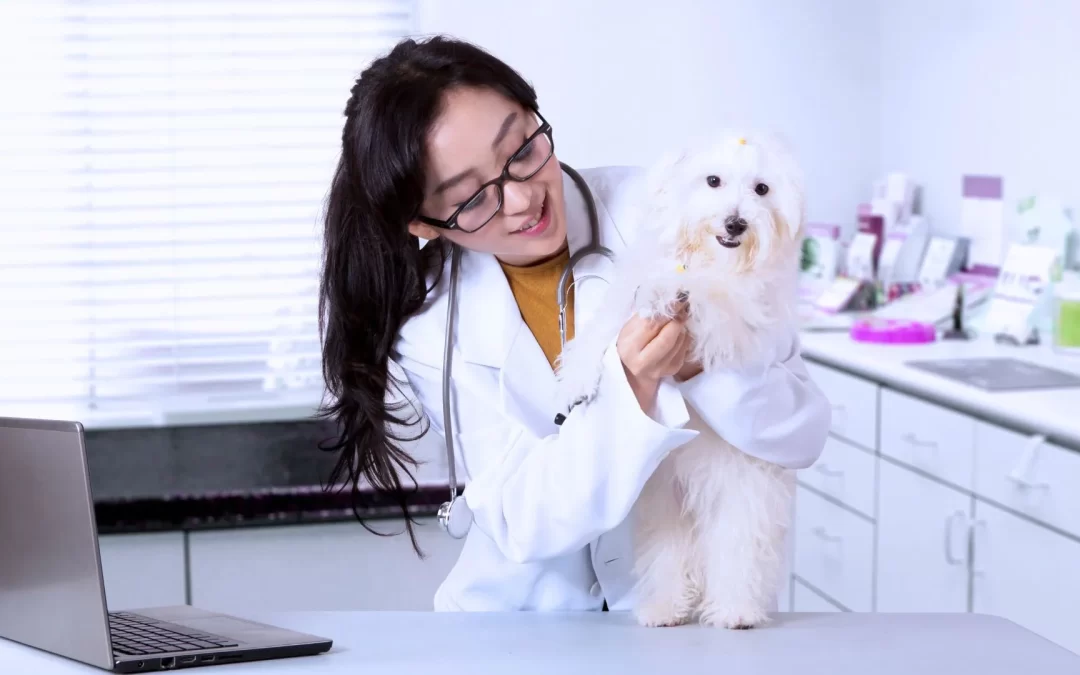 Agenda control veterinario: Tips para una gestión efectiva