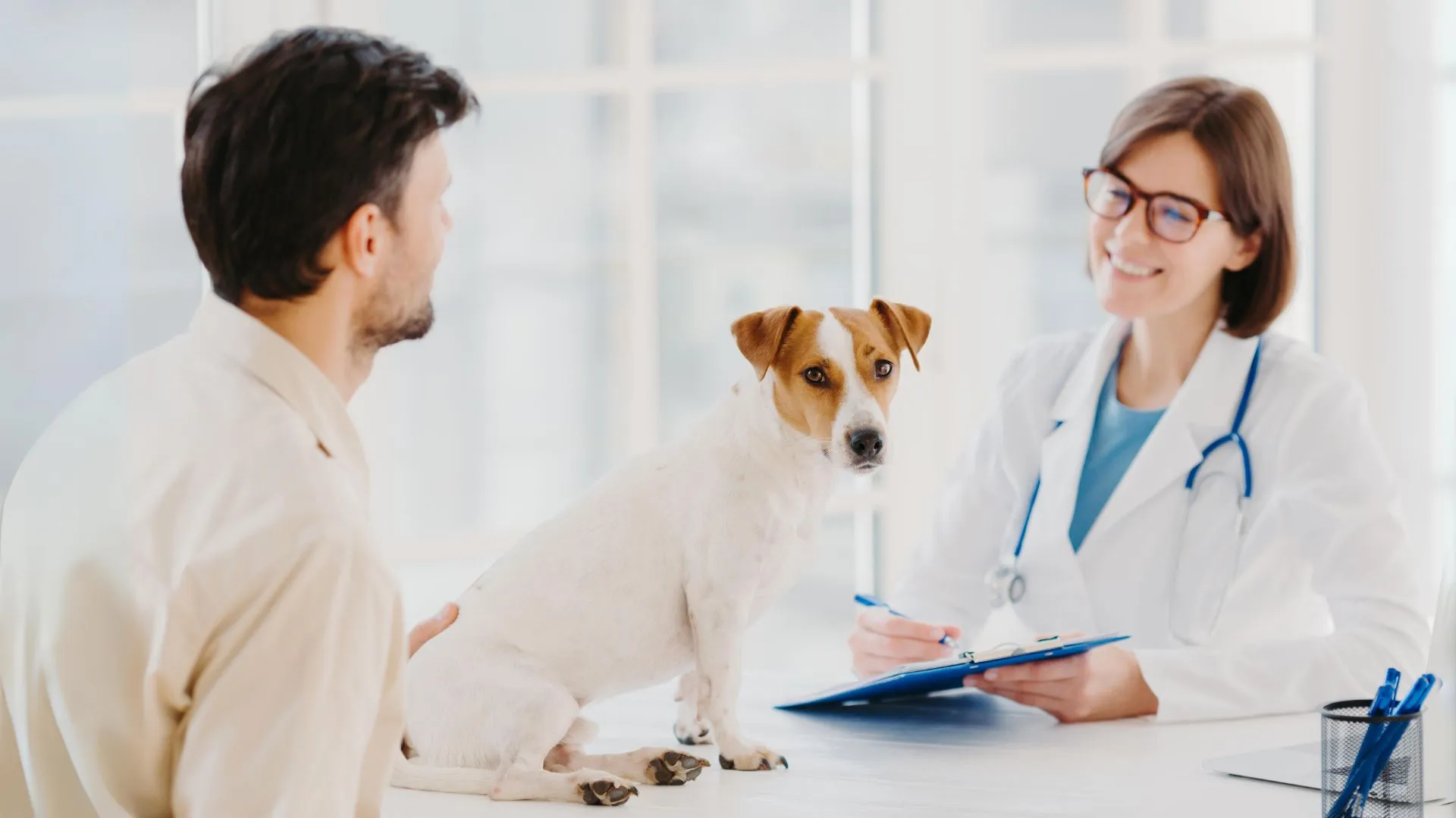 ¿Cómo facilita la creación y gestión de receta veterinaria?